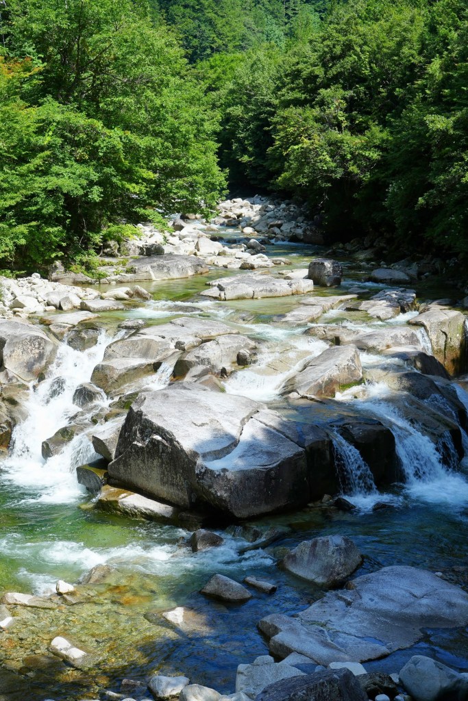 Akasawa Forest Relaxation Tour – Uncharted Nakasendo